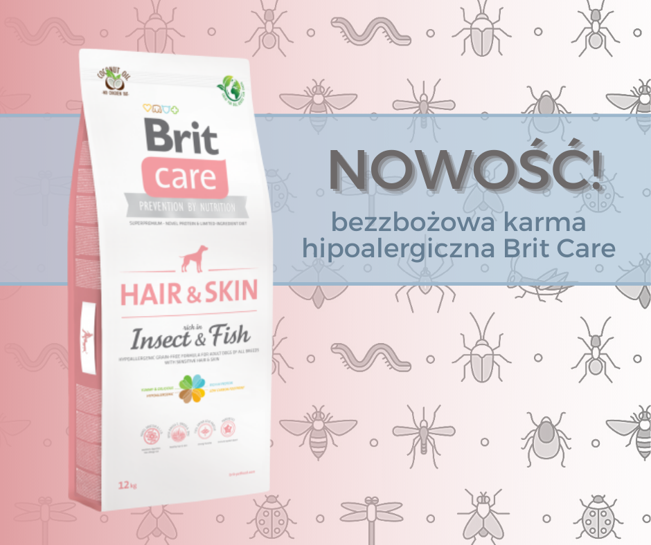 Nowość! Karma BRIT CARE – Owady i ryba